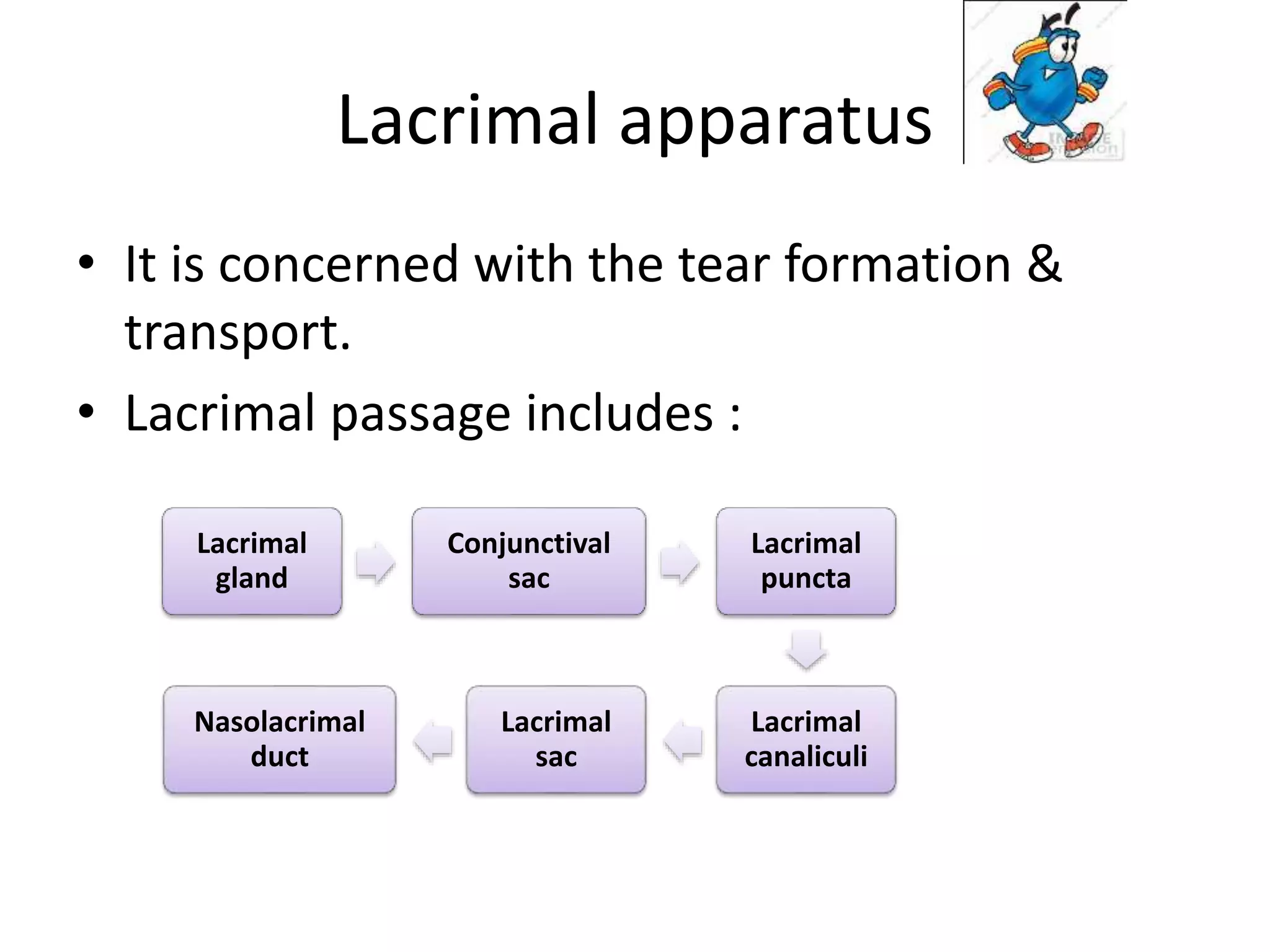 LACRIMAL SYSTEM.pptx