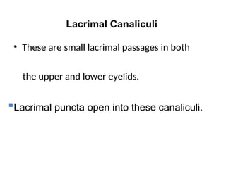 LACRIMAL SYSTEM.ppt....................... | PPT