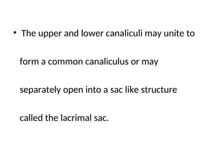 LACRIMAL SYSTEM.ppt....................... | PPT