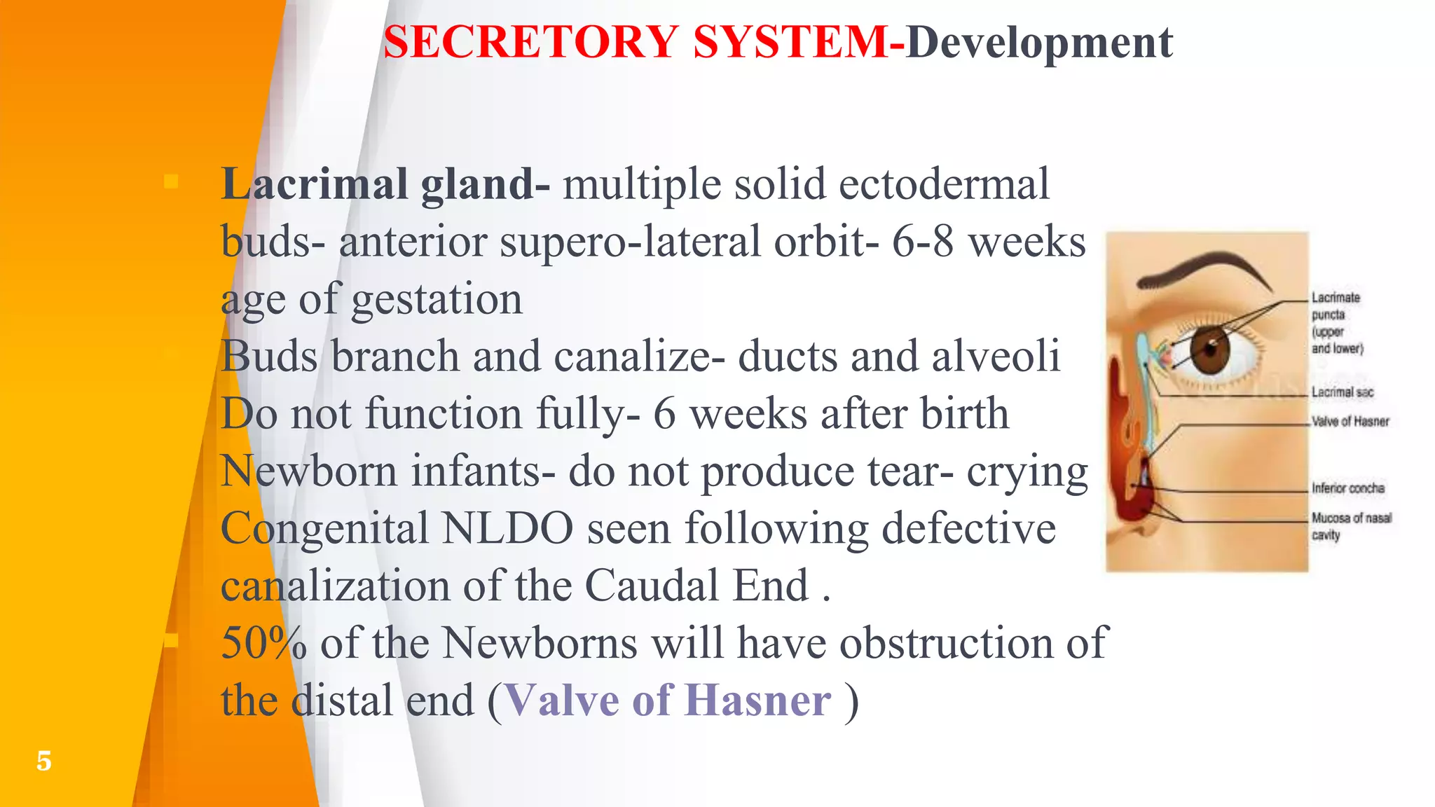 LCRIMAL APPARATUS SYSTEM | PPTX