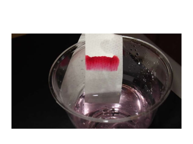 La cromatografia su carta | PPTX | Science