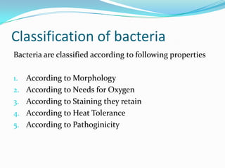 Bacteria | PPTX