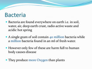 Bacteria | PPTX