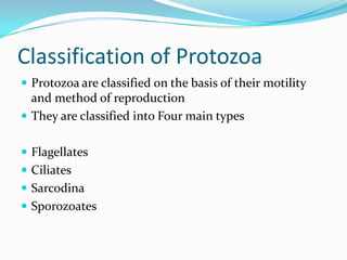 Protozoa Types