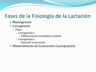 Lactacion clase fisiologia | PPT