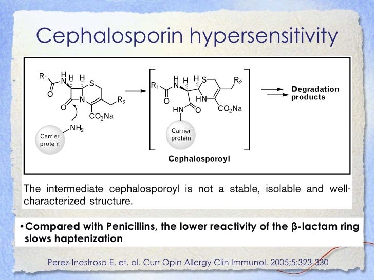 β Lactam Antibiotic Hypersensitivity Cross Reactivity
