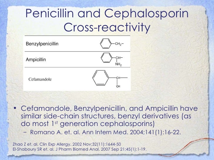 β Lactam Antibiotic Hypersensitivity Cross Reactivity