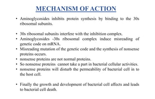 β-lactamase inhibitors.pptx