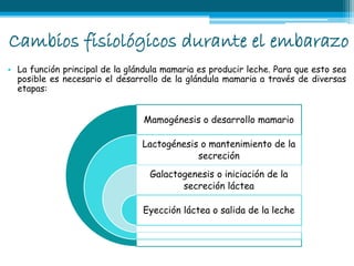 Lactancia materna | PPTX