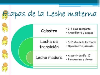 Lactancia materna | PPTX