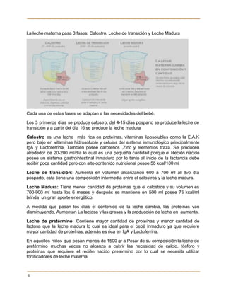 Lactancia materna | PDF