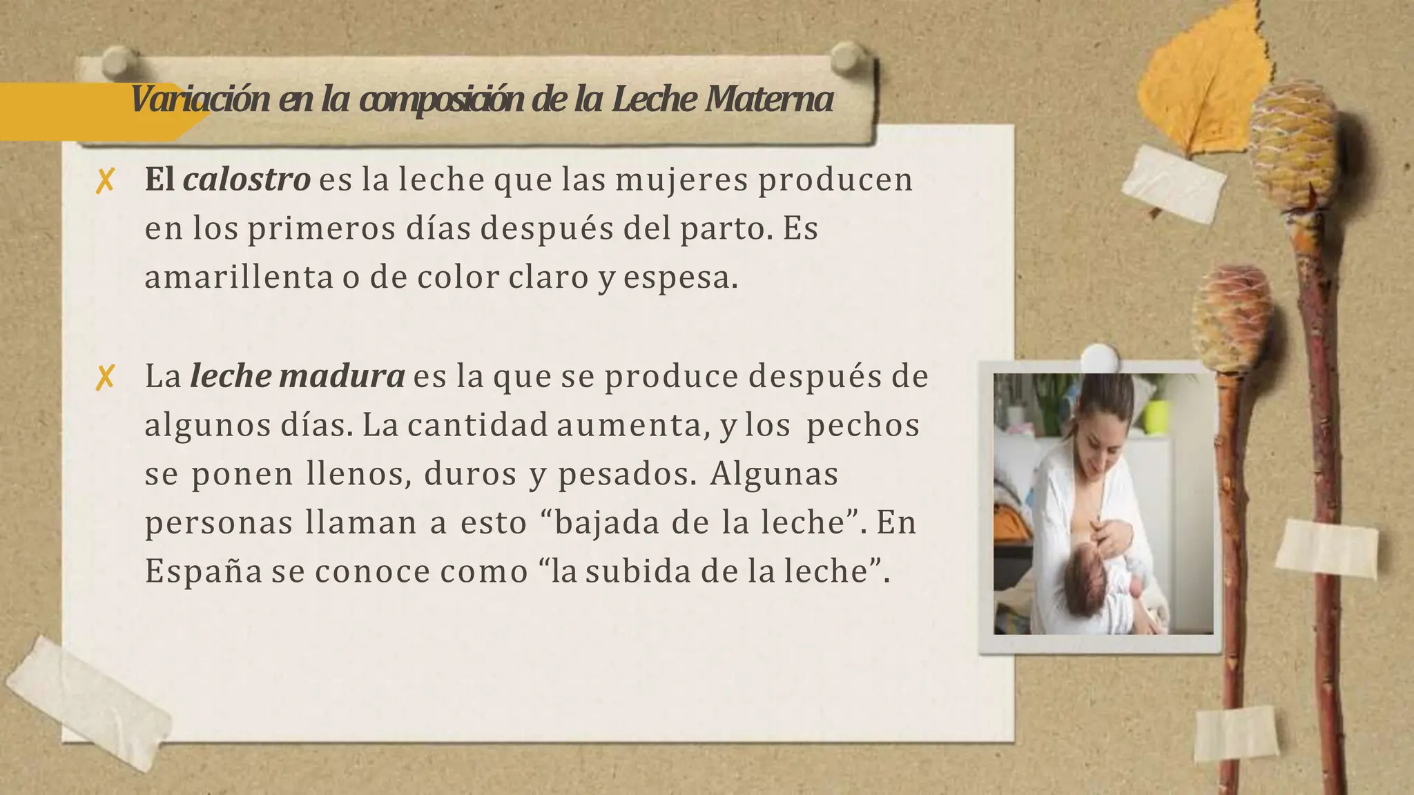 lactancia materna definición, importancia - 3°salud.pptx