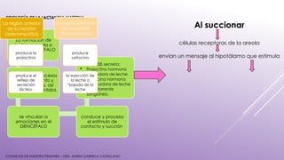 Lactancia materna y beneficios de la misma | PPTX