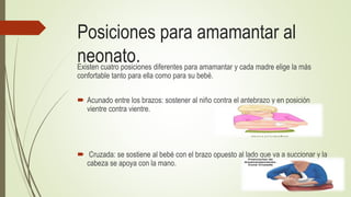 Lactancia materna exclusiva | PPTX