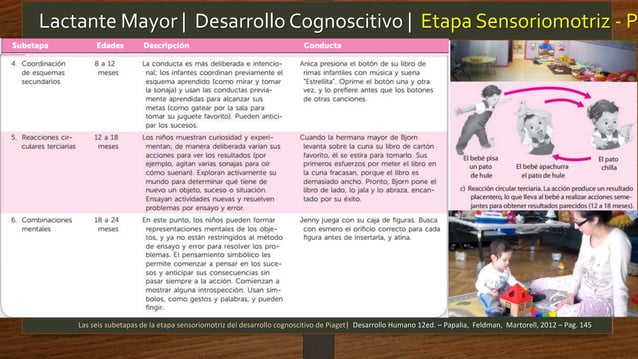 Desarrollo Humano: Lactante Mayor | PPTX
