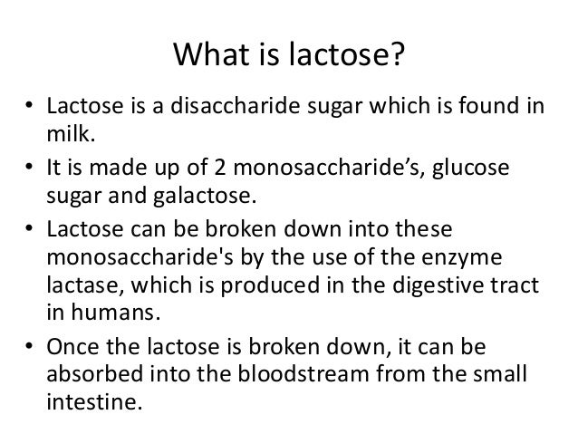 Lactase
