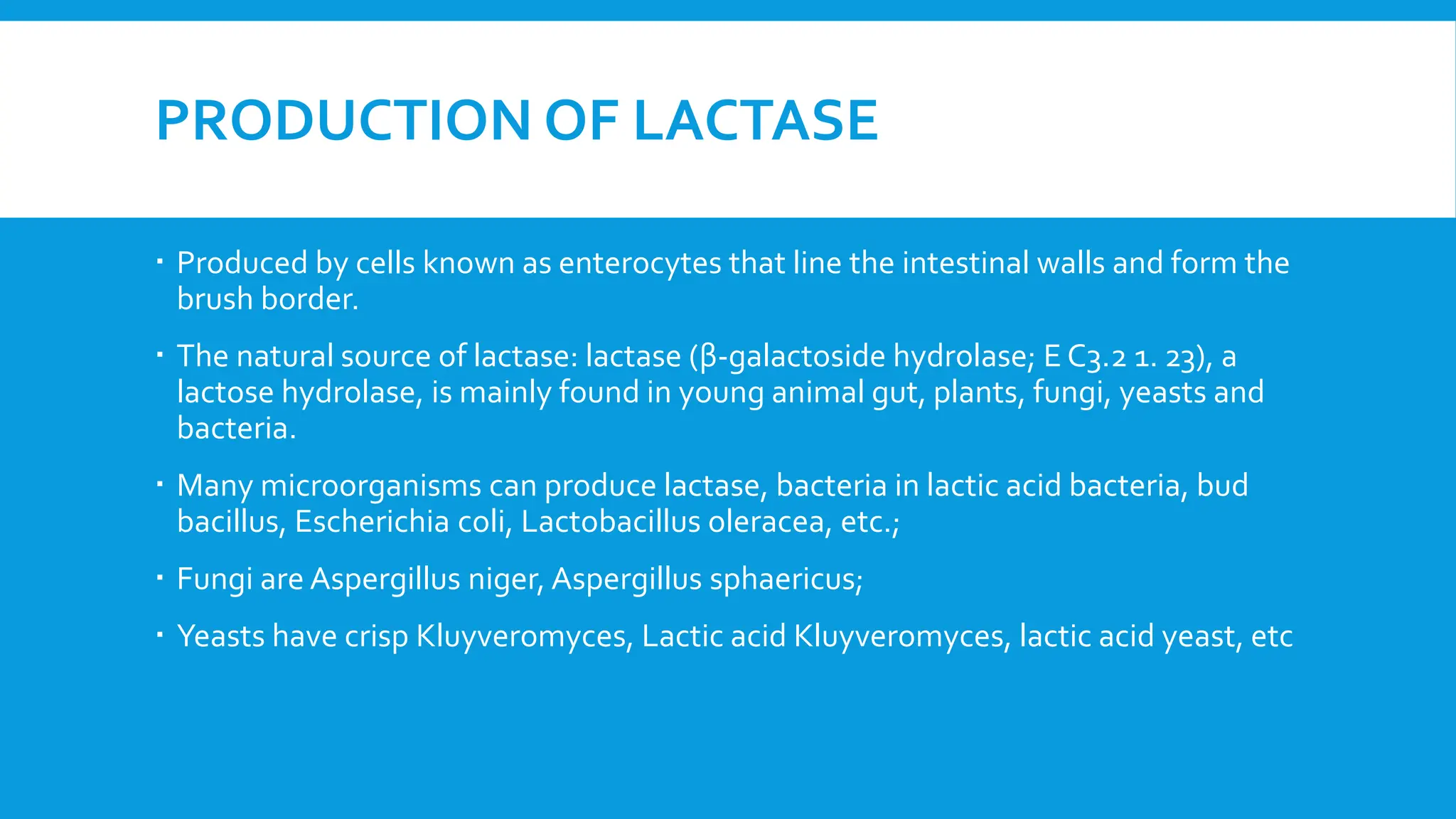 Lactase intoduction properties , producion and purification of lactase.pptx