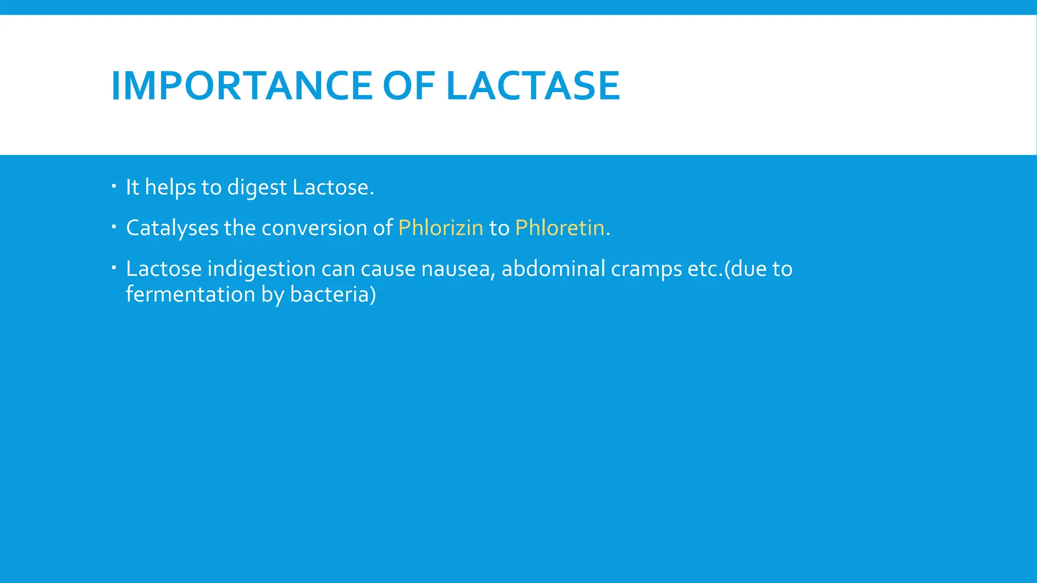 Lactase intoduction properties , producion and purification of lactase.pptx