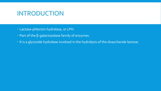 Lactase intoduction properties , producion and purification of lactase.pptx