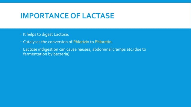 Lactase intoduction properties , producion and purification of lactase.pptx