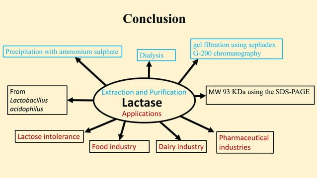 Lactase ppt(saiful) | PPTX