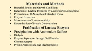 Lactase ppt(saiful) | PPTX