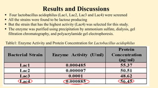 Lactase ppt(saiful) | PPTX