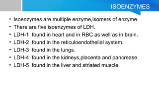 Lactate dehydrogenase enzyme | PPT