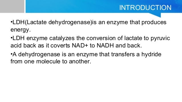 Lactate dehydrogenase enzyme