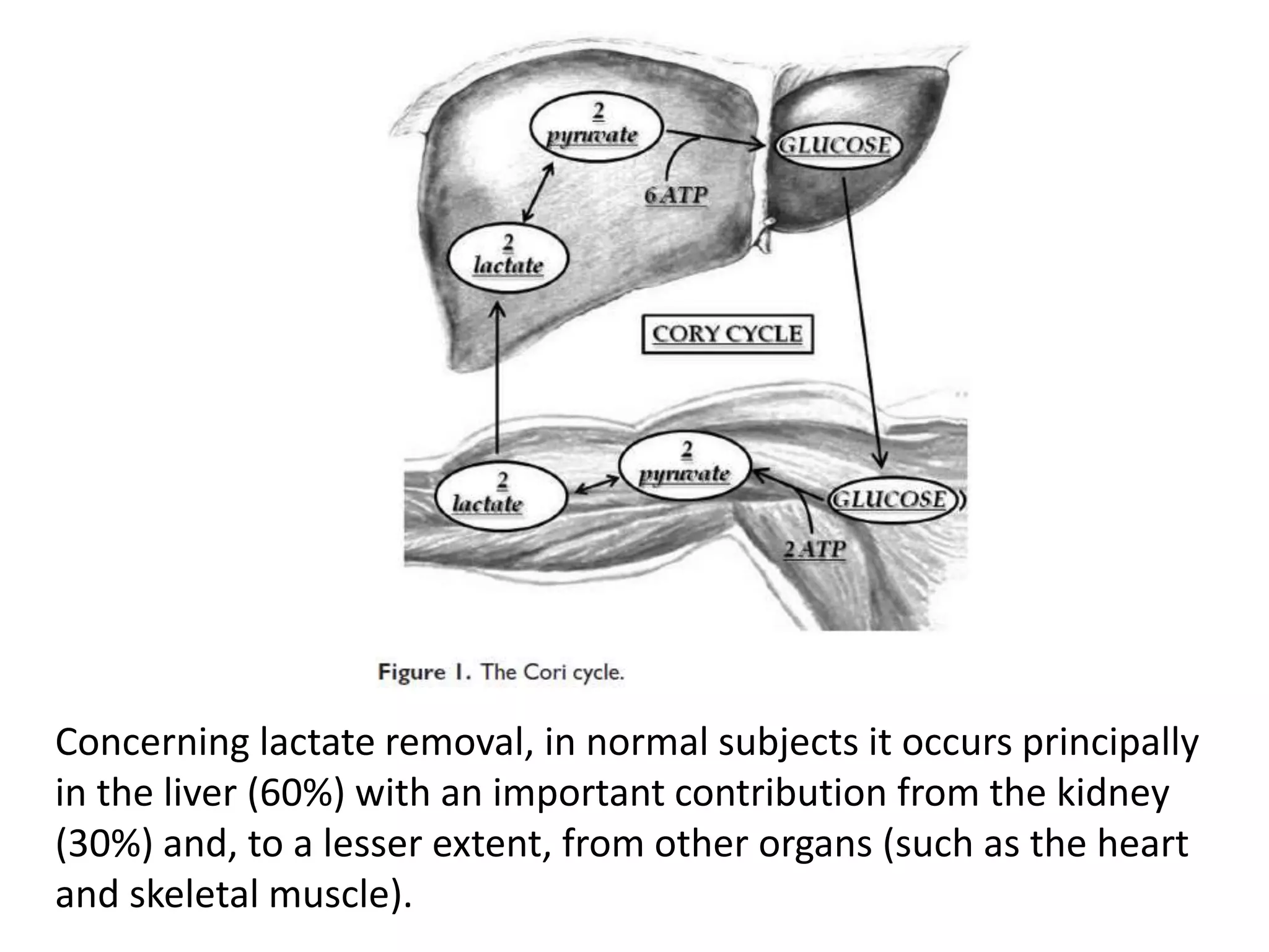 LACTATE MÁU - BS Nguyễn Minh Tiến.ppt
