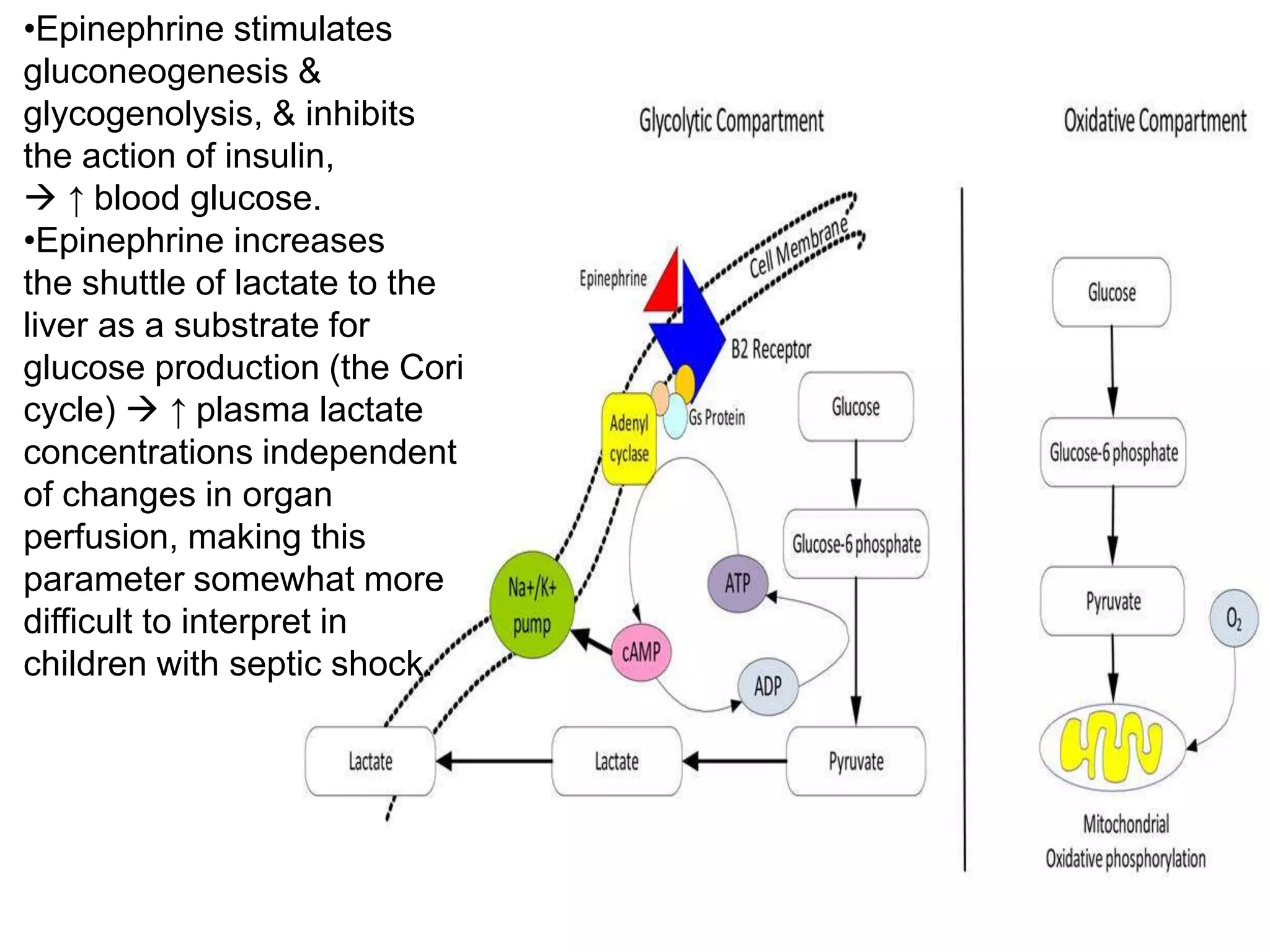 LACTATE MÁU - BS Nguyễn Minh Tiến.ppt
