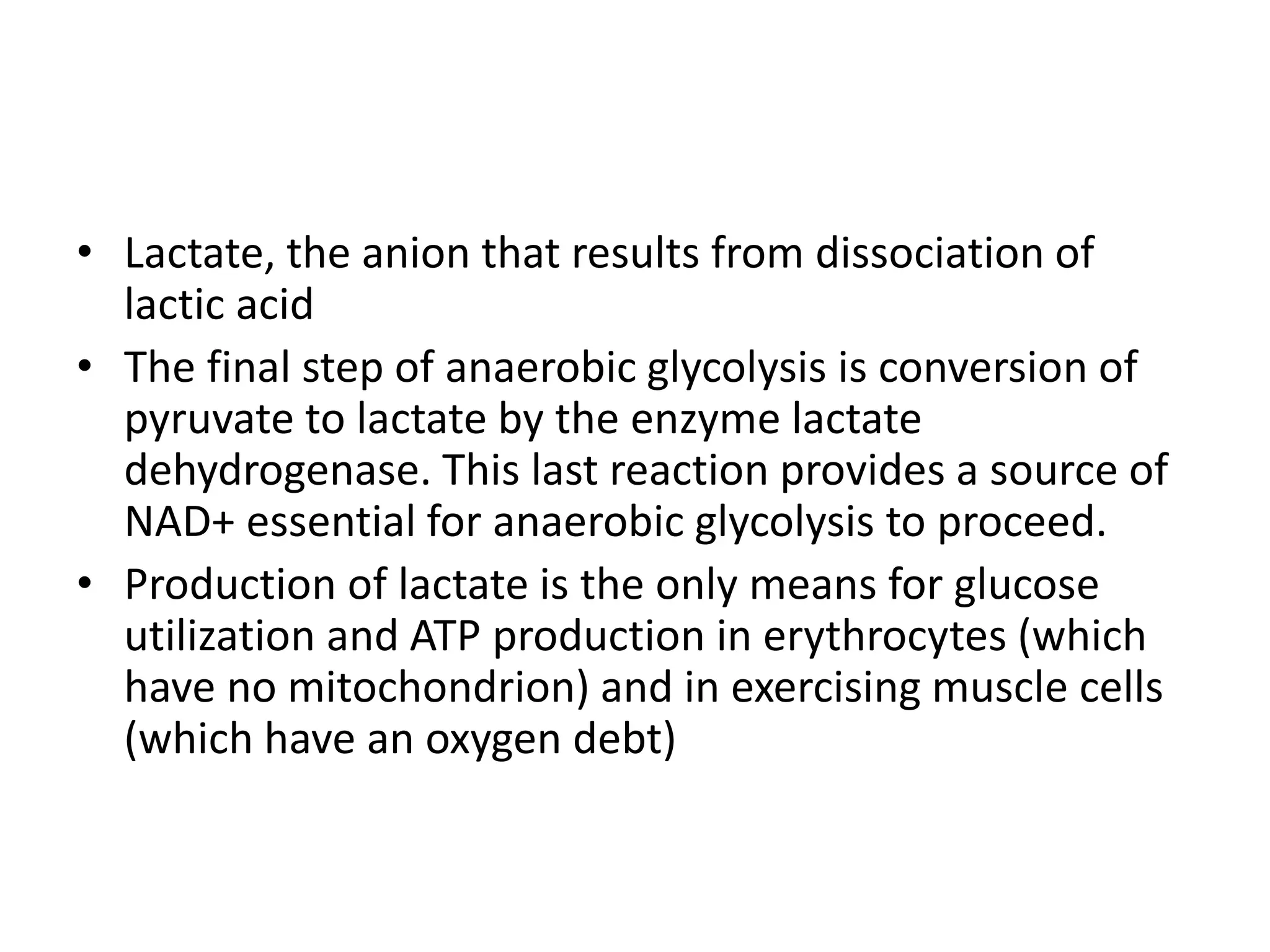 Lactate Physiology.pptx