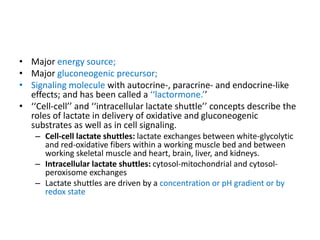 Lactate Physiology.pptx