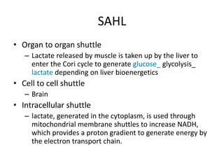 Lactate Physiology.pptx