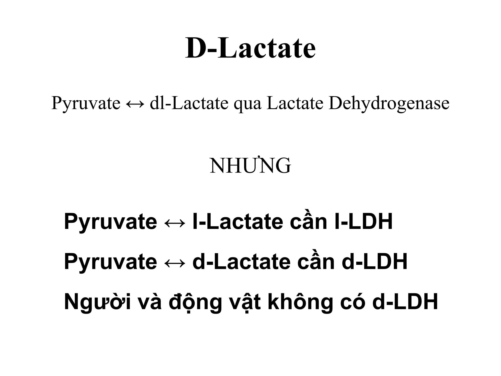Lactate trong ICU | PDF
