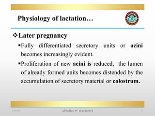 breast feeding and initation of lactation pptx | PPTX