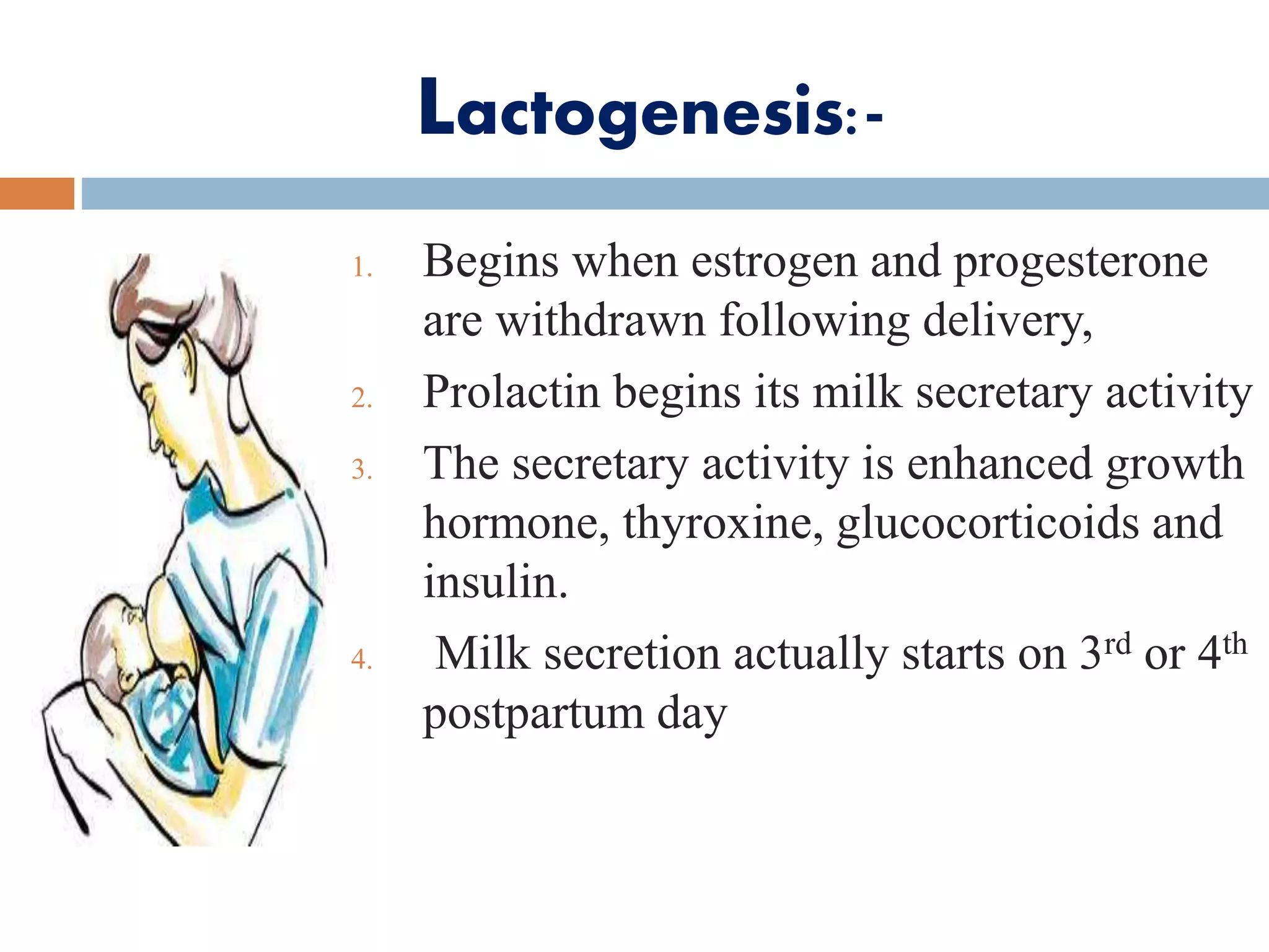 Lactation | PPTX