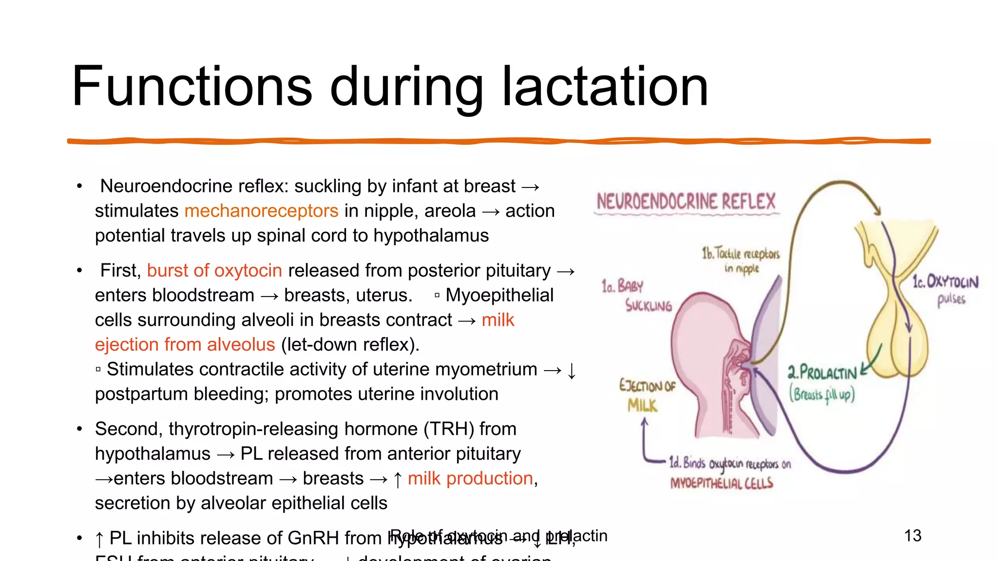Lactation.pptx