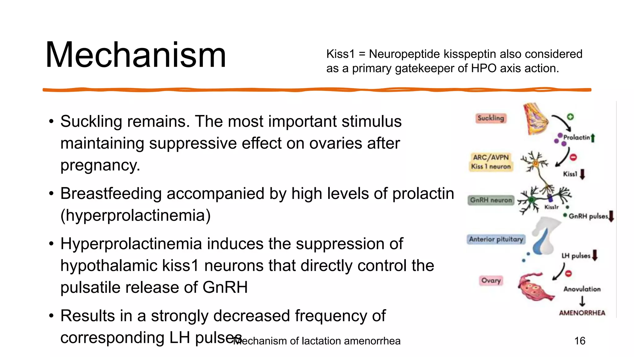 Lactation.pptx