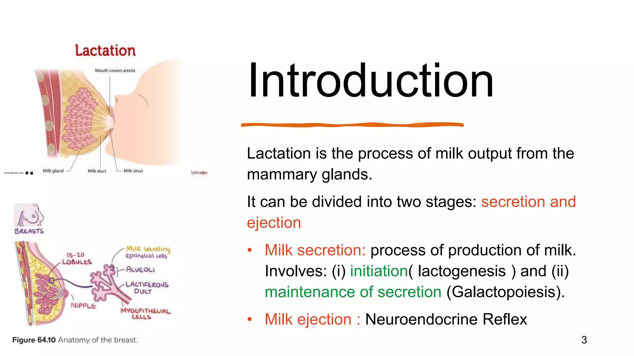 Lactation.pptx