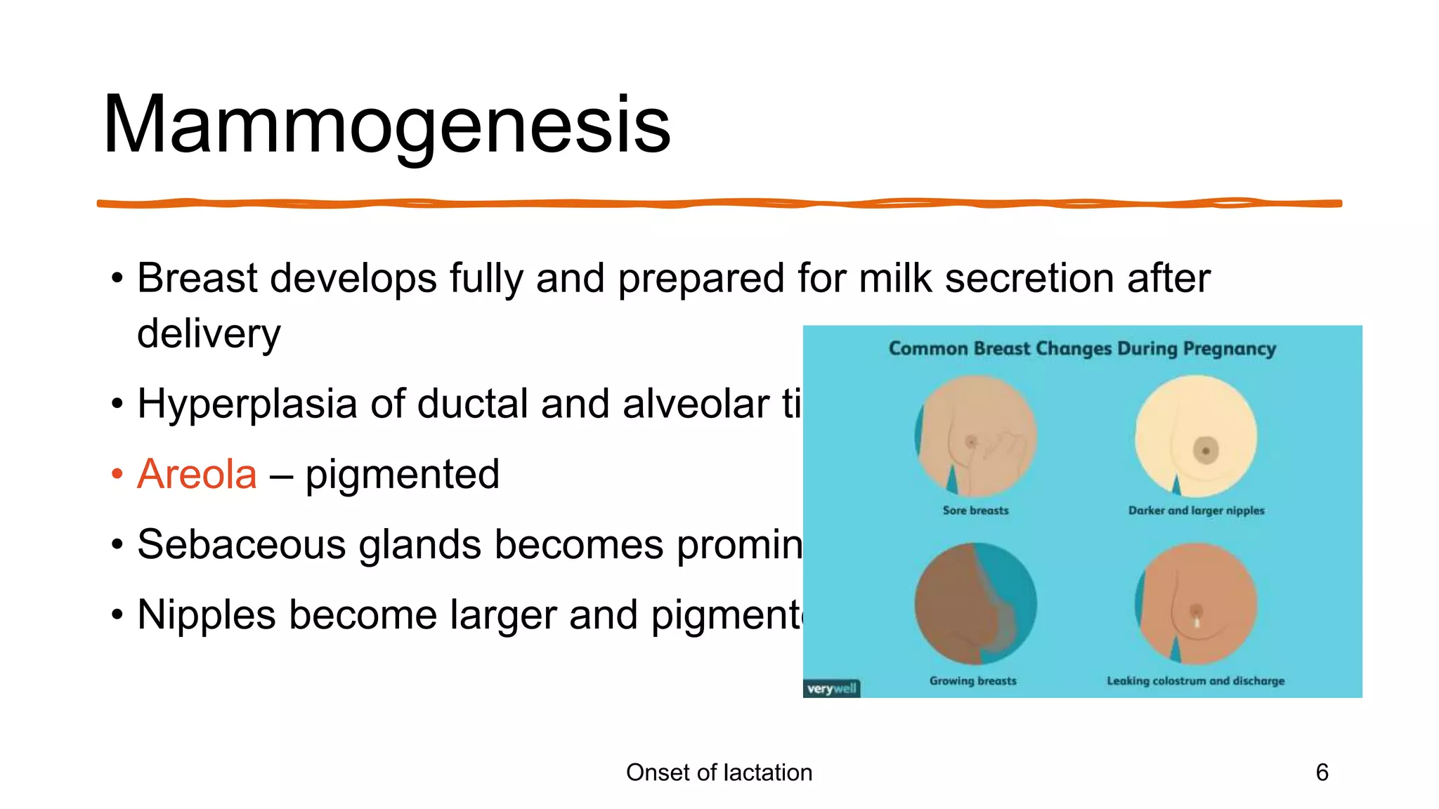 Lactation.pptx