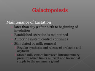 Lactation | PPT