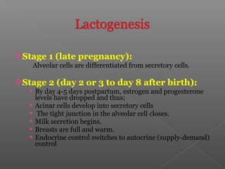 Lactation | PPT