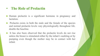 Lactation in mammals | PDF