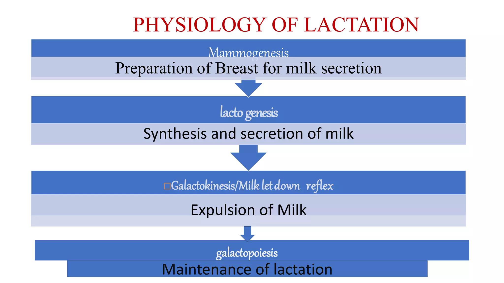 Lactation management | PPTX