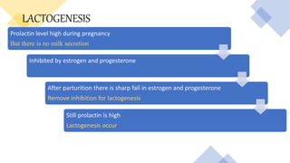 Lactation management | PPTX