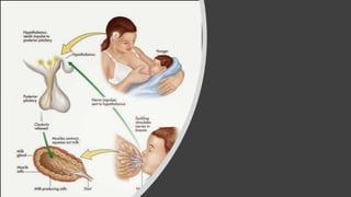 Lactation management | PPTX