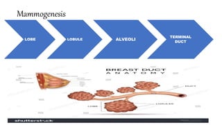 Lactation management | PPTX
