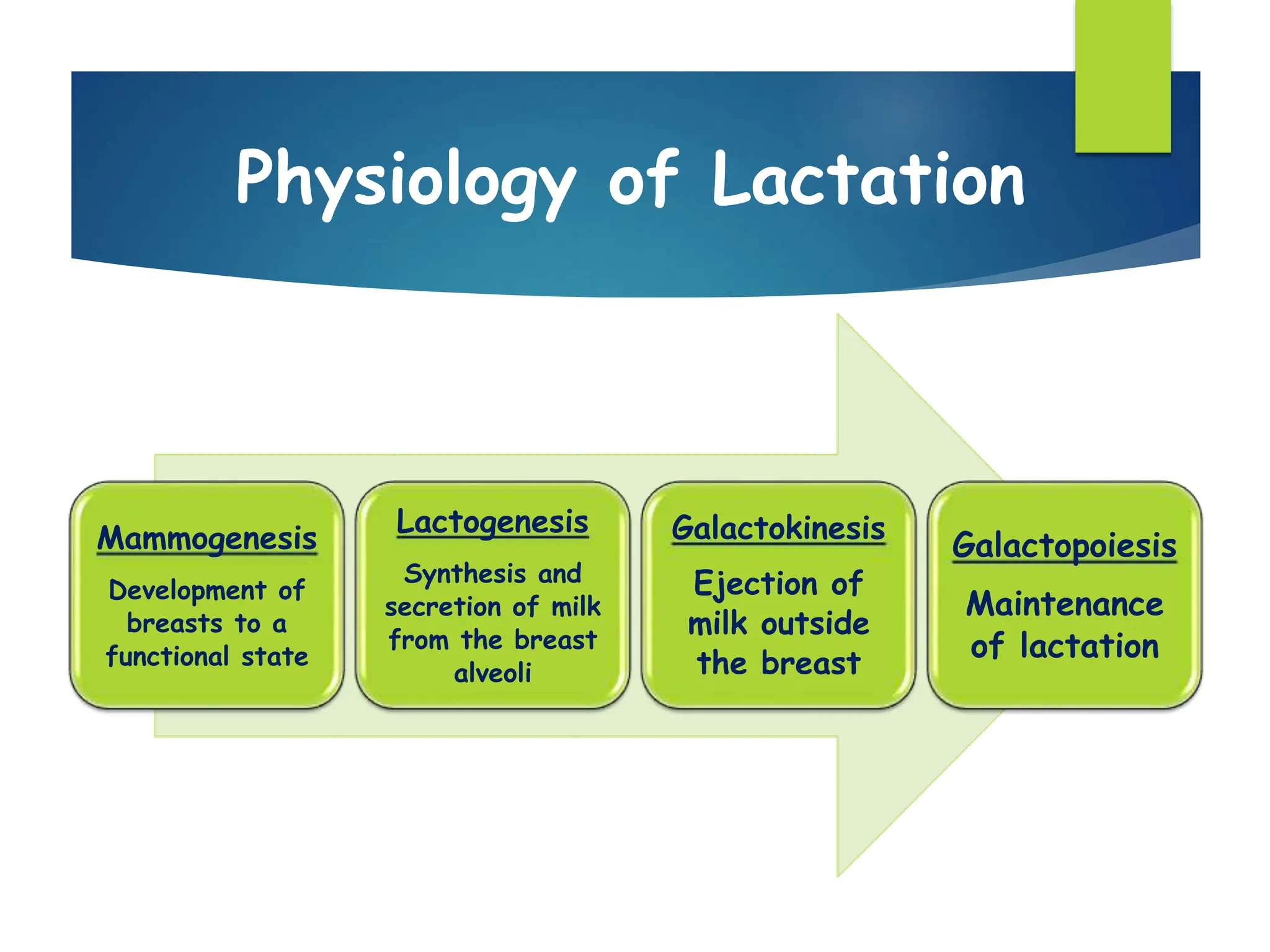 Lactation Management for postpartum mothers | PPTX