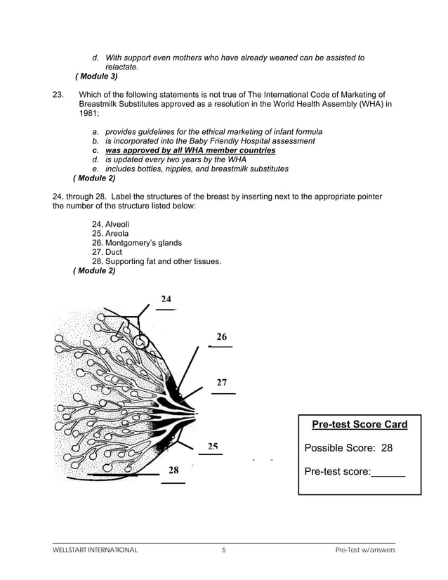 Lactation Management Self Study Modules Level I | PDF